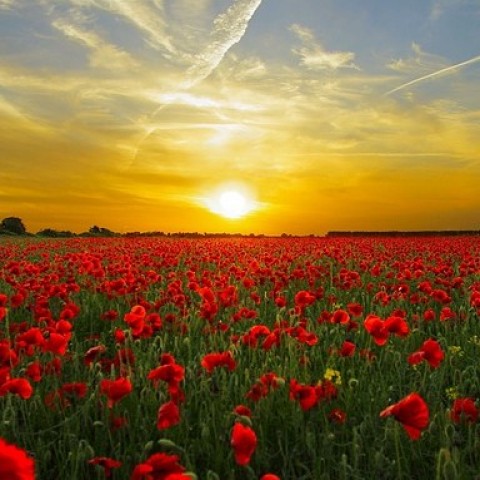 How To Build An Amazon Affiliate aStore