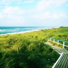 sandra239's Profile at Wealthy Affiliate