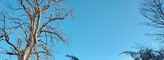 Tuesday Tends To Trend Towards Terrificness!