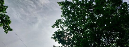 Subtle Sunday Siesta!