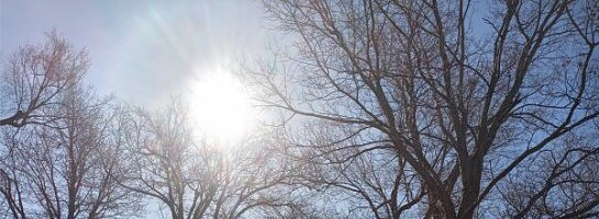 Momentous Monday's Monumental Manuscript Manufacture & Moil!