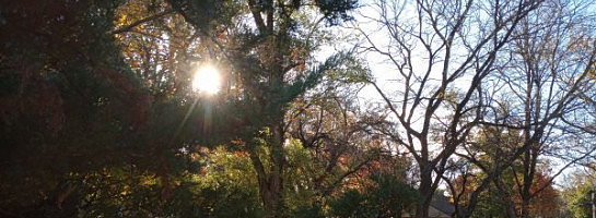 Super, SUPER, Superb Saturday!