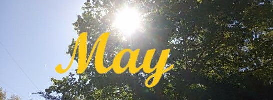 Monumental MAY Monday's Momentum!