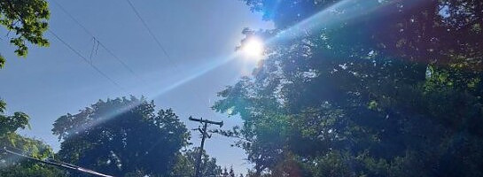 Ferocious Friday Frisatsu!