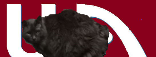 Thursday Timidness & Tempestuousness Turned Triumphant! Part 2