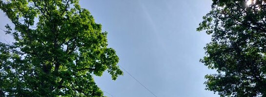 Momentous Monday Moil & Meanderings!