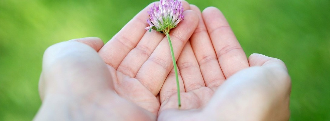 Be a Cheerful Giver!