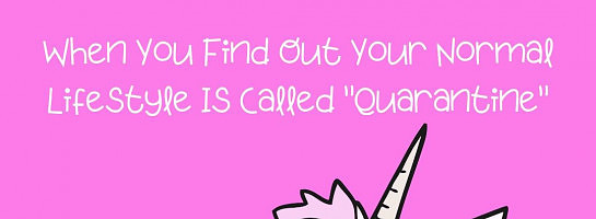 When You Find Out Your Normal Lifestyle Is Called "Quarantine"