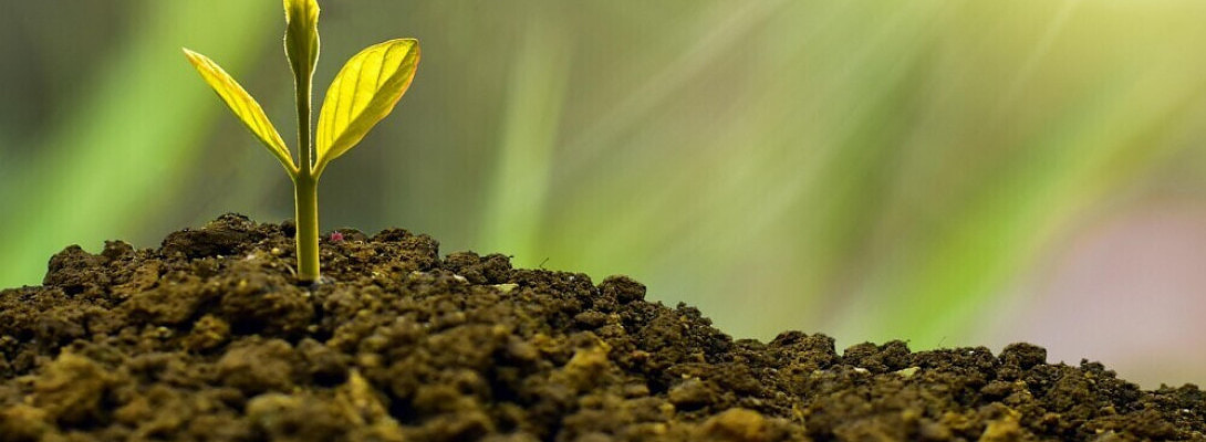 To Grow Bigger, You Must Think Beyond Today: Scaling And Long-Term Growth.