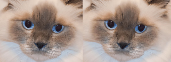 Copycat Syndrome: Tips for Creating Original and Unique Online Content