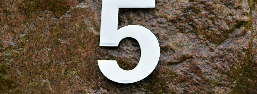 The Big #5