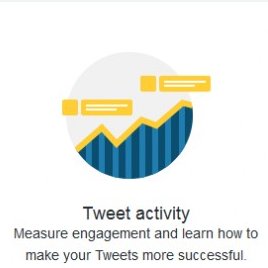 How To Use Twitter Analytics