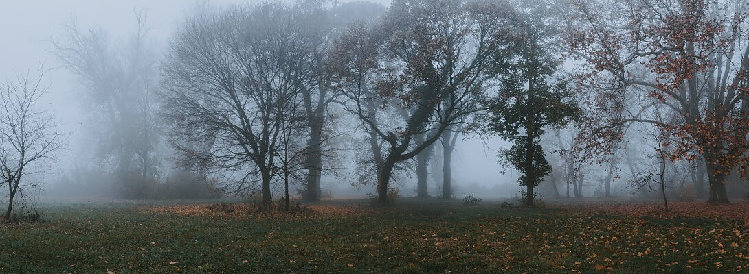 From Walking In A Fog To Joining The Top 200