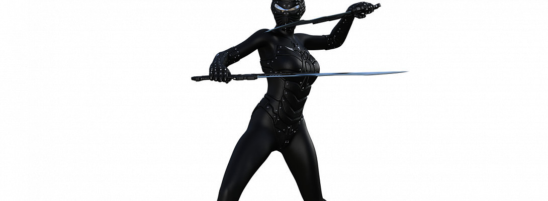 Ninja Style