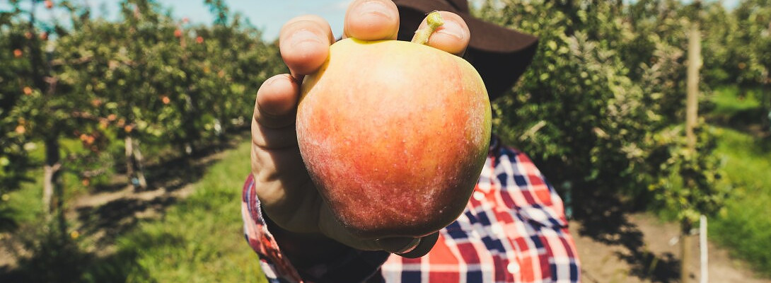 Niche-picking: What Determines the Perfect Market Fit?