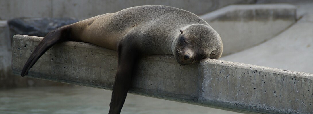 3 Strategies to Overcome and Break the Cycle of Inaction