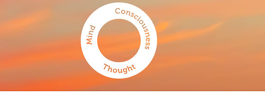 The Three Principles of Life