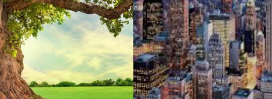 live your life Nature or technology will never leave your side?