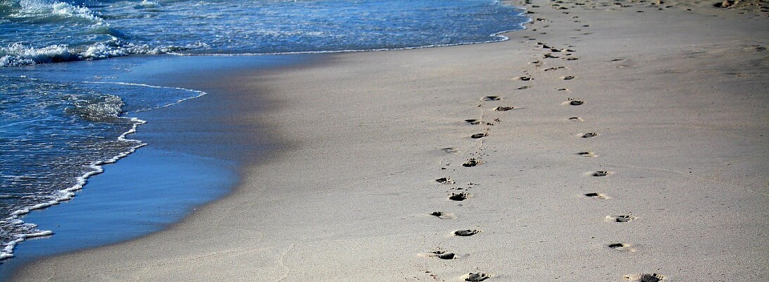 Tracking and Analytics: Navigating the Digital Footprints in the Sand