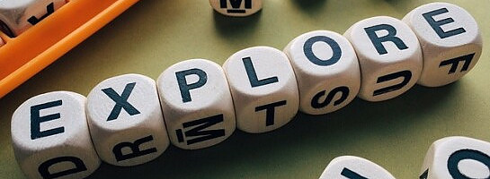 Exploring Sub-Niches- Understanding Sub-Niches