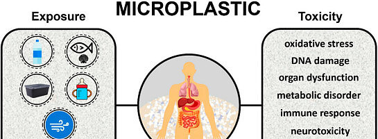MIcroplastis: Unseen Threats Lurking in Our Environment and Bodies