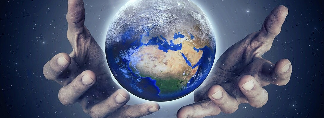 A Productive Partnership With Chat GPT and My WA Training