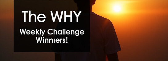 Announcing the Winners of the WHY Challenge!
