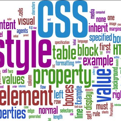 Learn the Basics of CSS