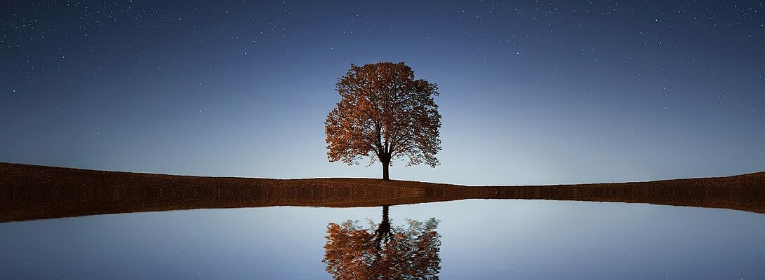 Best Practices for Remaining Calm and on Target