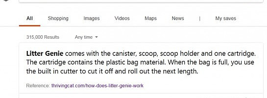 A New Featured Snippet on Bing!